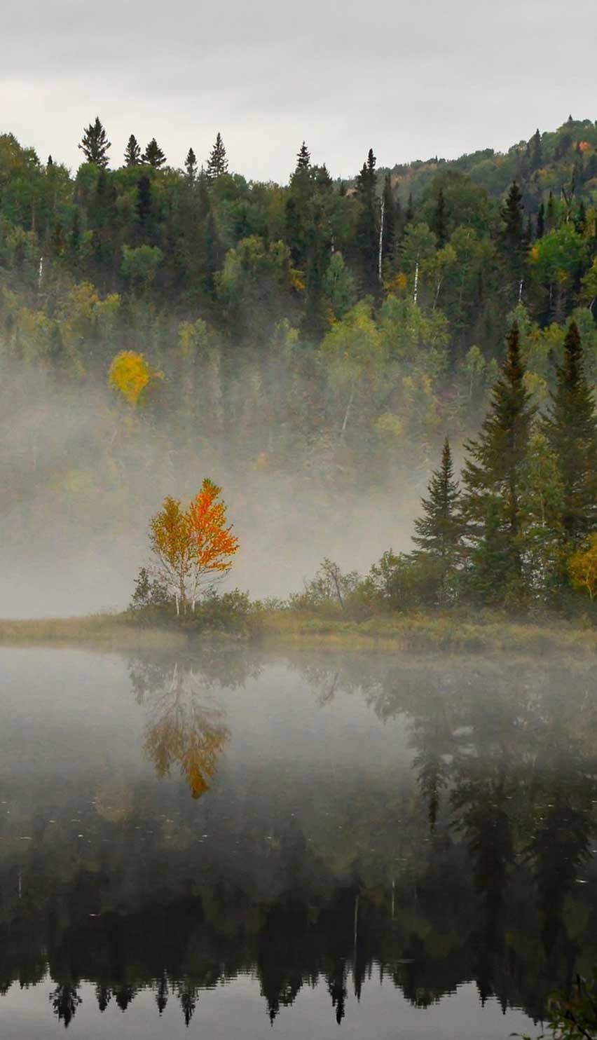 Kako upotrebiti unutrašnje blago - Meditacija Banja Luka - www ...